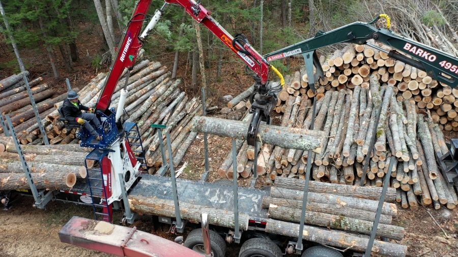 Hancock Lumber joins the American Tree Farm System - Hancock Lumber