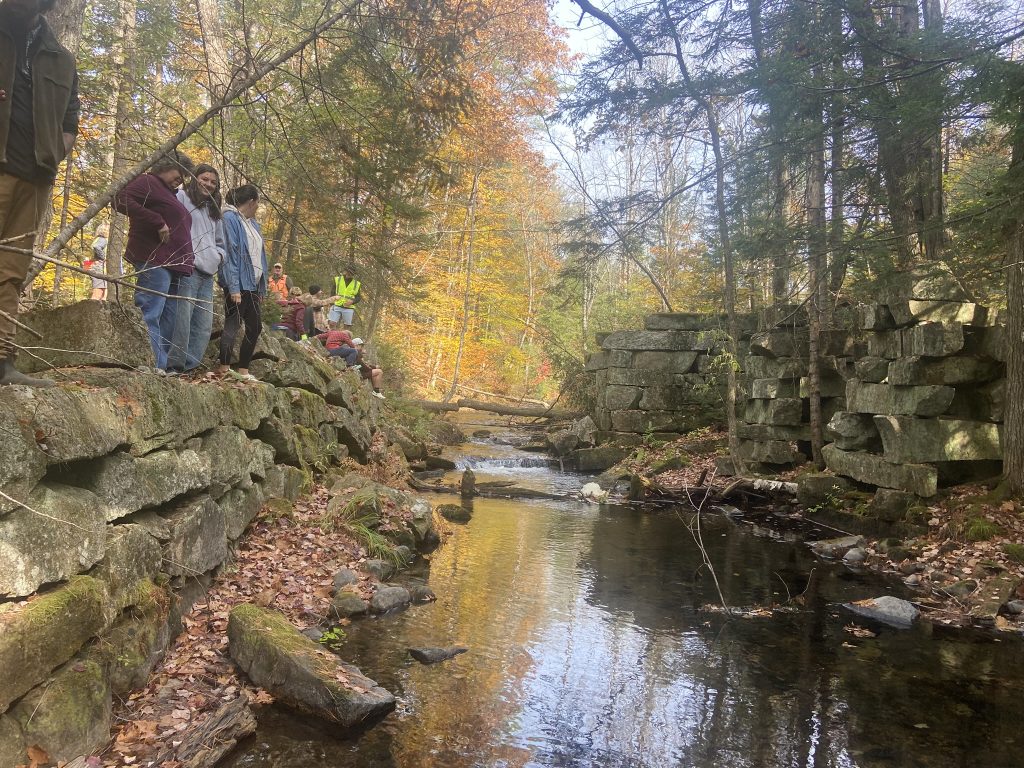 Hancock Lumber Hosts Jugtown Forest Community Walk with Casco Open ...